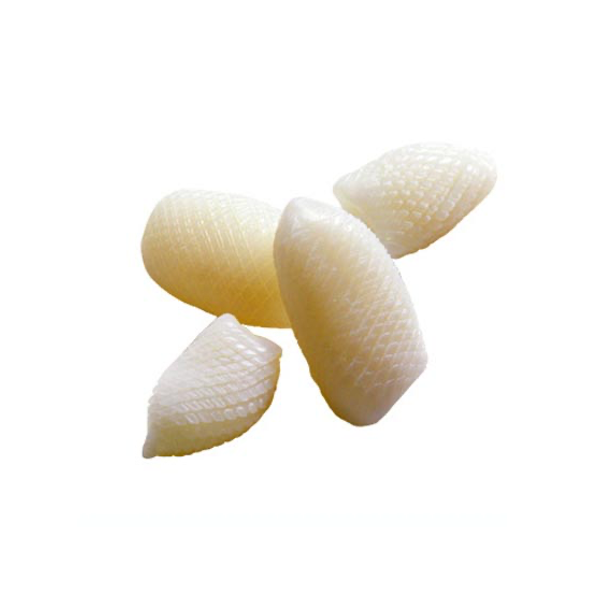 Cuttlefish